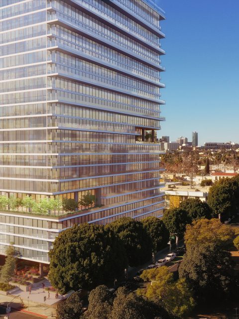 Large Architecture | Burton Way